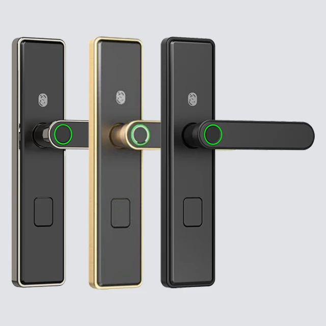 Modern Aesthetics Smart Door Lock With Face Recognition At Factory ...