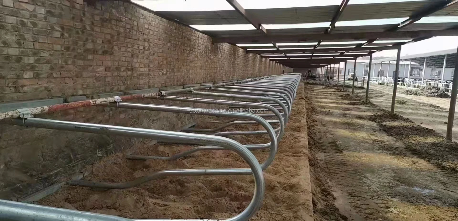 Dairy Cattle Housing Design - Hot Dip Galvanized Cow Free Stall