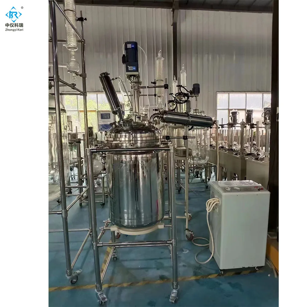 1l To 1000l Double Layer Chemical Stainless Steel Reactor - Buy ...