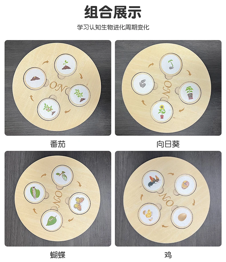 Montessori Animal Frog Chicken Butterfly Bee Life Cycle Board Set ...