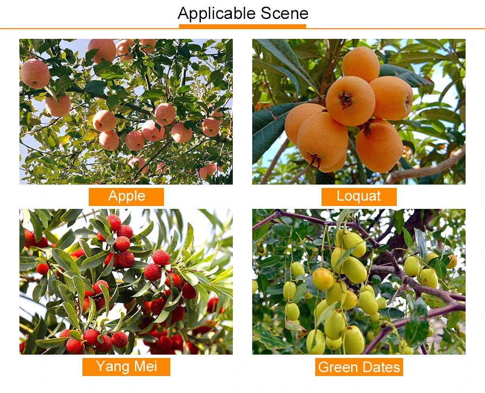Factory Metal Fruit Picker Orchard Gardening Apple Peach High Tree ...