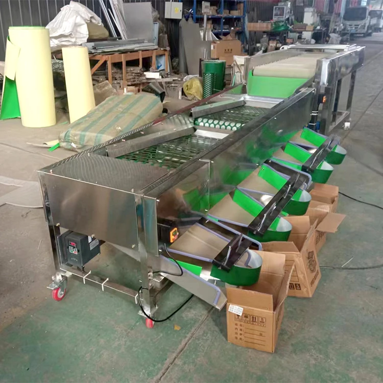 Onion Sorting And Grading Machines Jujube Olive Walnut Sorting Machine ...
