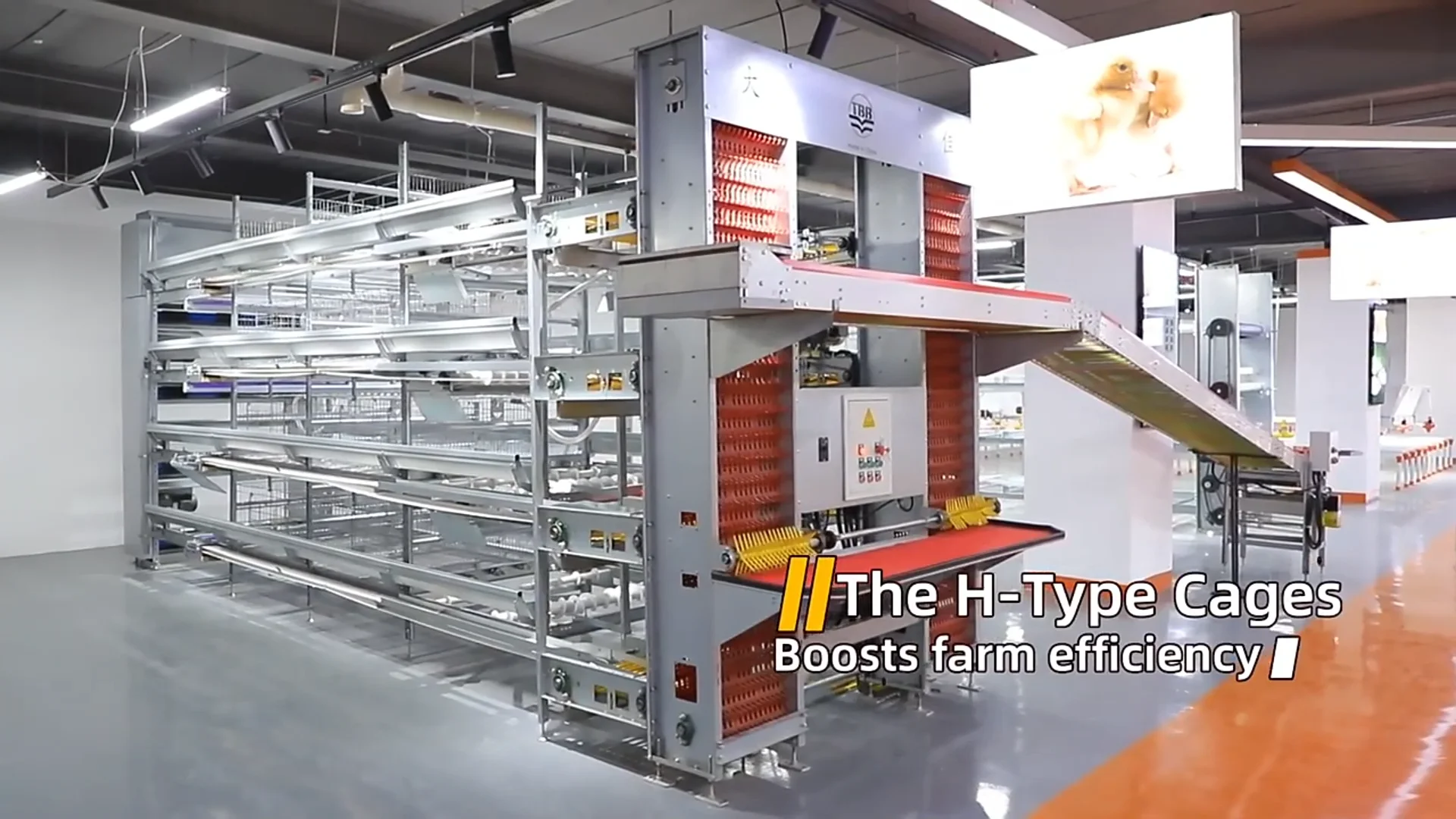 Zenith Factories Supply Fully Automated Egg-laying Hens With H-type ...