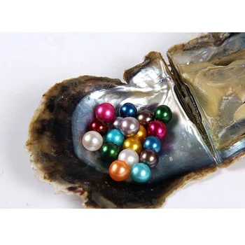 Bulk Wholesale 6-8mm Akoya Pearl Oyster With Round Natural Saltwater ...