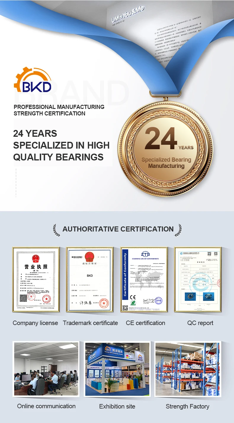 6004 Single Row BKD Higher Quality Chinese Supplier Deep groove Ball ...