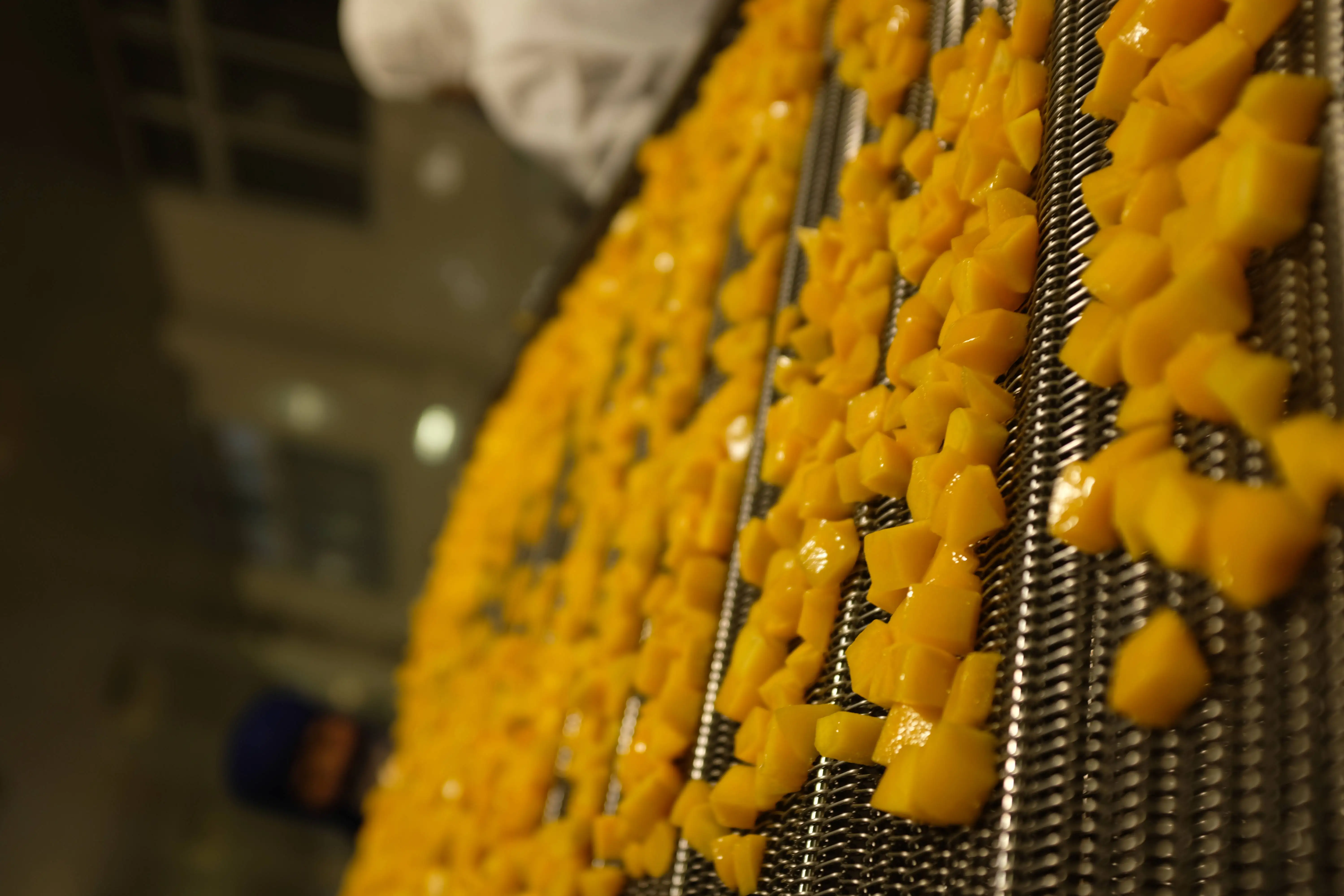 Oem Brand 820g Canned Yellow Peach Dices In Heavy Syrup In Eoe Can ...