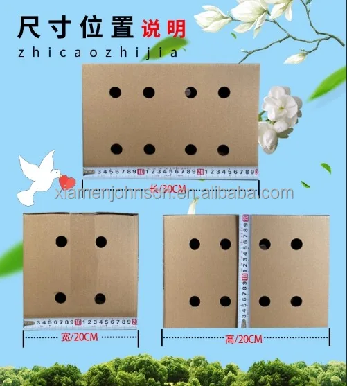 Perforated Carton Perforated Carton Live Pet Breathable Extra Hard ...