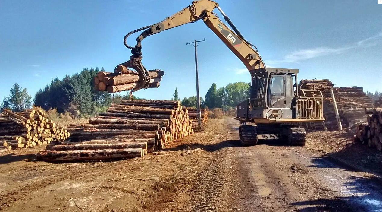 Bypass Grapple Claw 070 - Efficient Logging Equipment