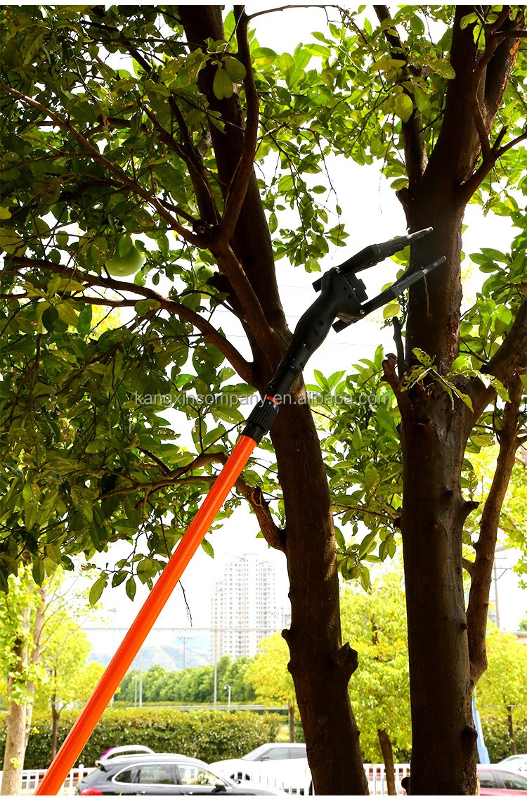 Multi-functional Oliver Shaker Olive Picker Coffee Bean Harvest,Olive ...