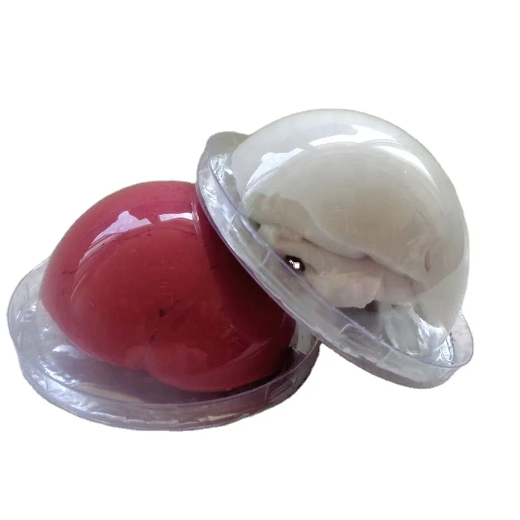 Best Selling Denture Mould Making Kit High Quality Manufacturer ...