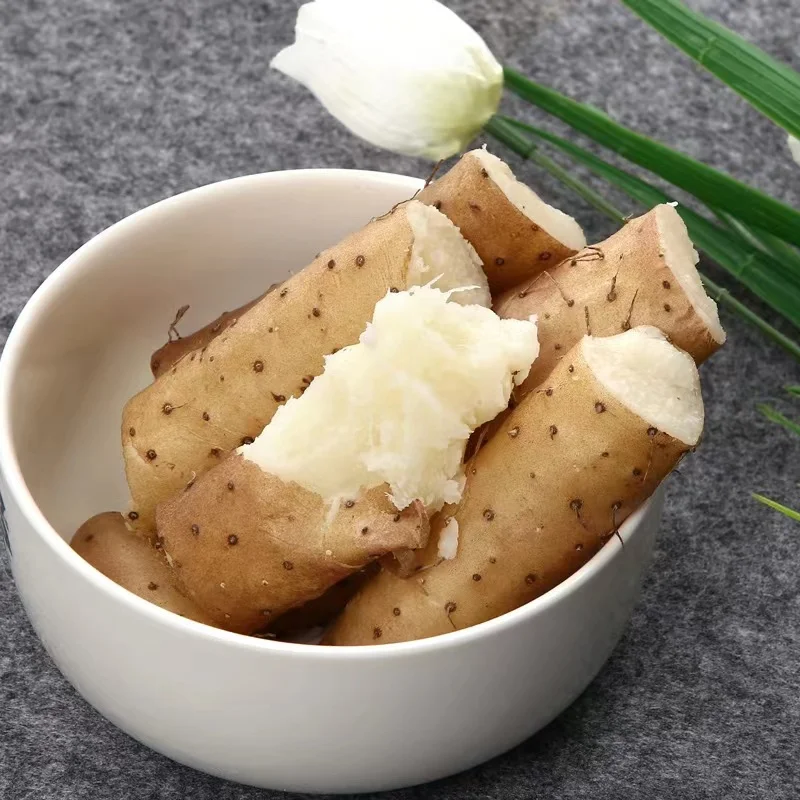 Fresh Chinese Yam - White Yam for Sale from Shandong, China
