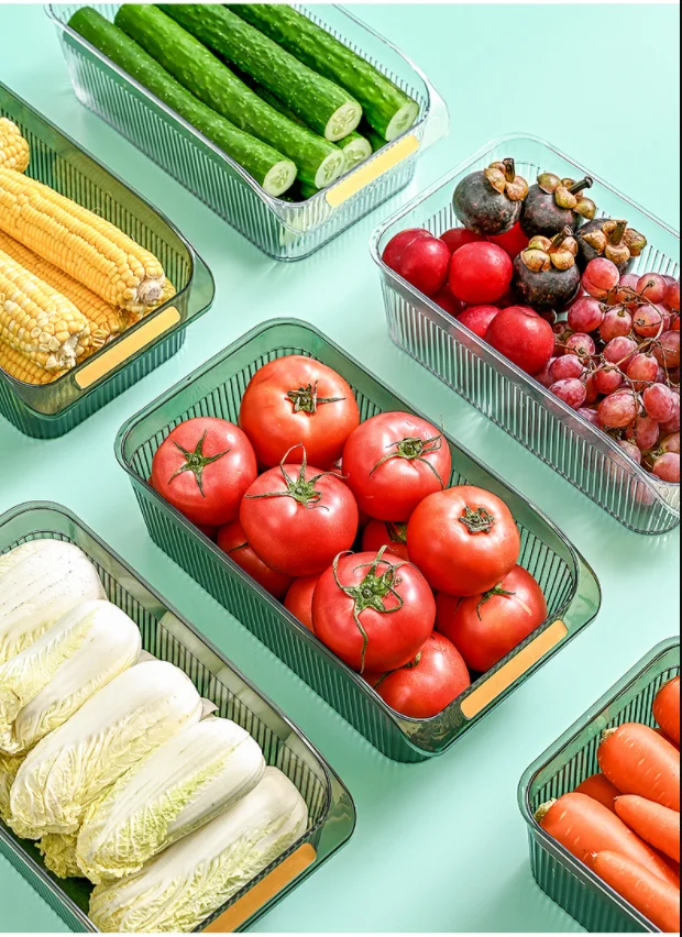 Fresh Container Produce Saver Container BPA Free Fridge Organizer for ...