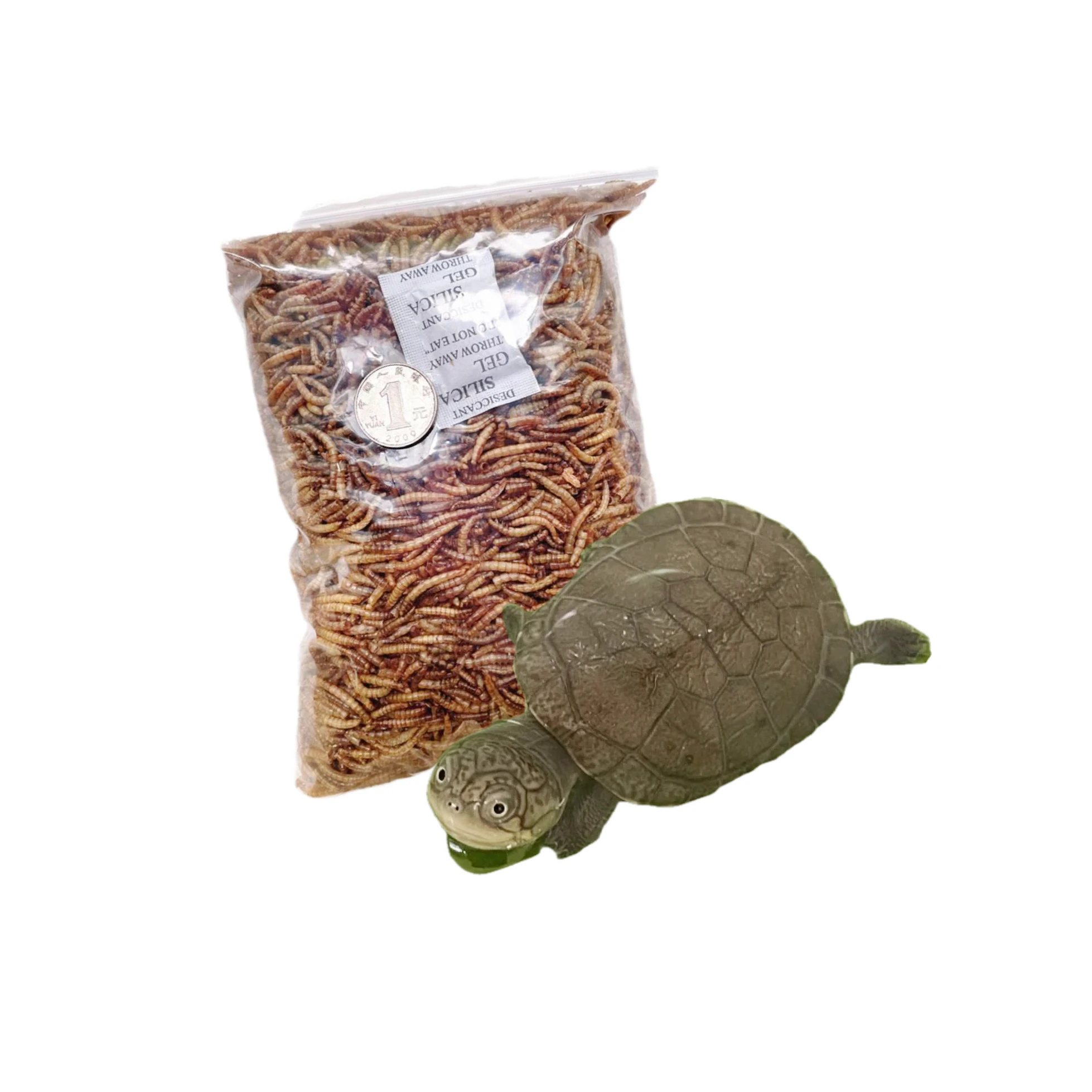 Superworm Giant Mealworms Edible Bugs Insect Protein Dry Maggot Pet ...