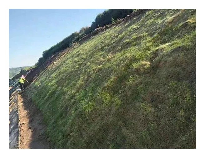 Modern 350g Coconut Coir Erosion Control Blanket 200g Turf Slope ...