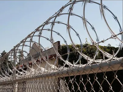 Galvanized Blade Concertina Safety razor Wire Mesh Netting| Alibaba.com