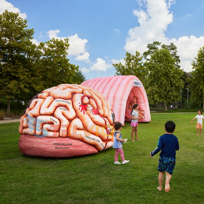 Inflatable Giant Brain Heart 3D Model - Medical Inflatables