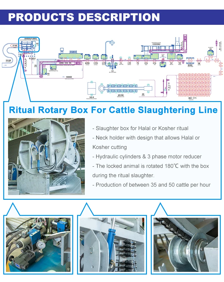Cattle Halal Killing Box Slaughtering Machine Line For Abattoir ...