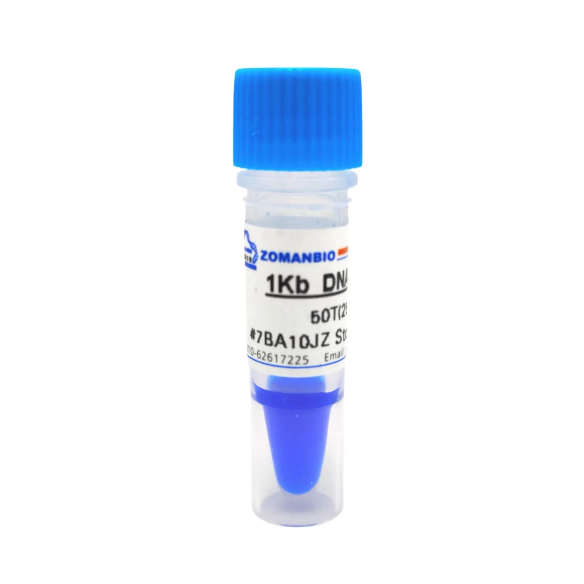 1kb Dna Ladder Dna Marker Molecular Weight 1000bp-10000bp High ...