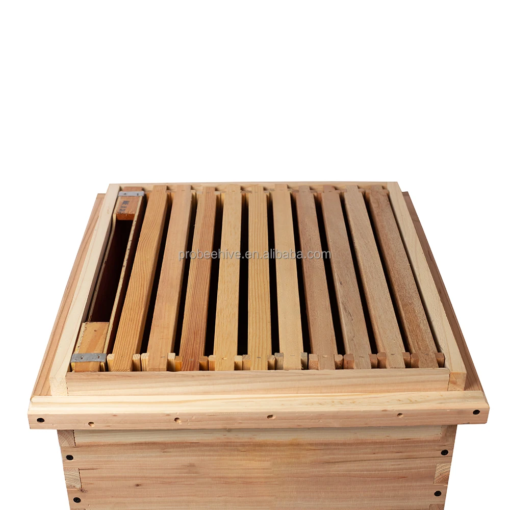 Two Layers Korean Beehive Box For Beekeeping - Buy Two Layers Beehive ...