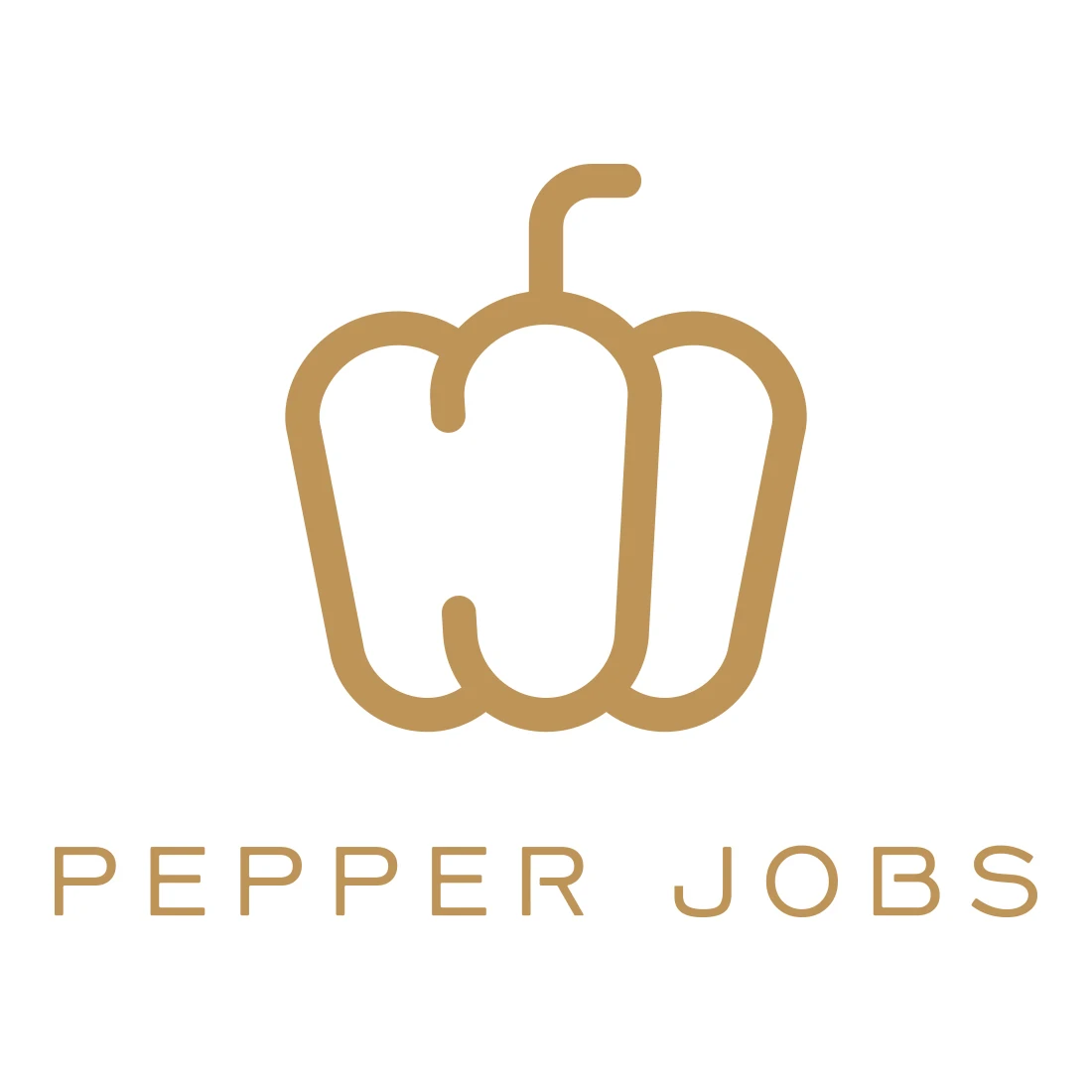 Company Overview - PEPPER JOBS LIMITED