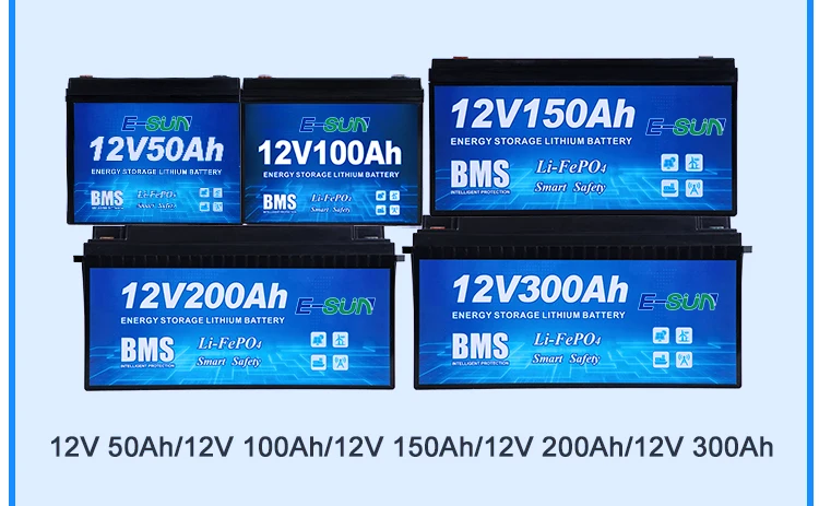 12v 24v 20ah 100ah Lead Acid 24volt Lithium Lifepo4 Ion Batteries Deep ...