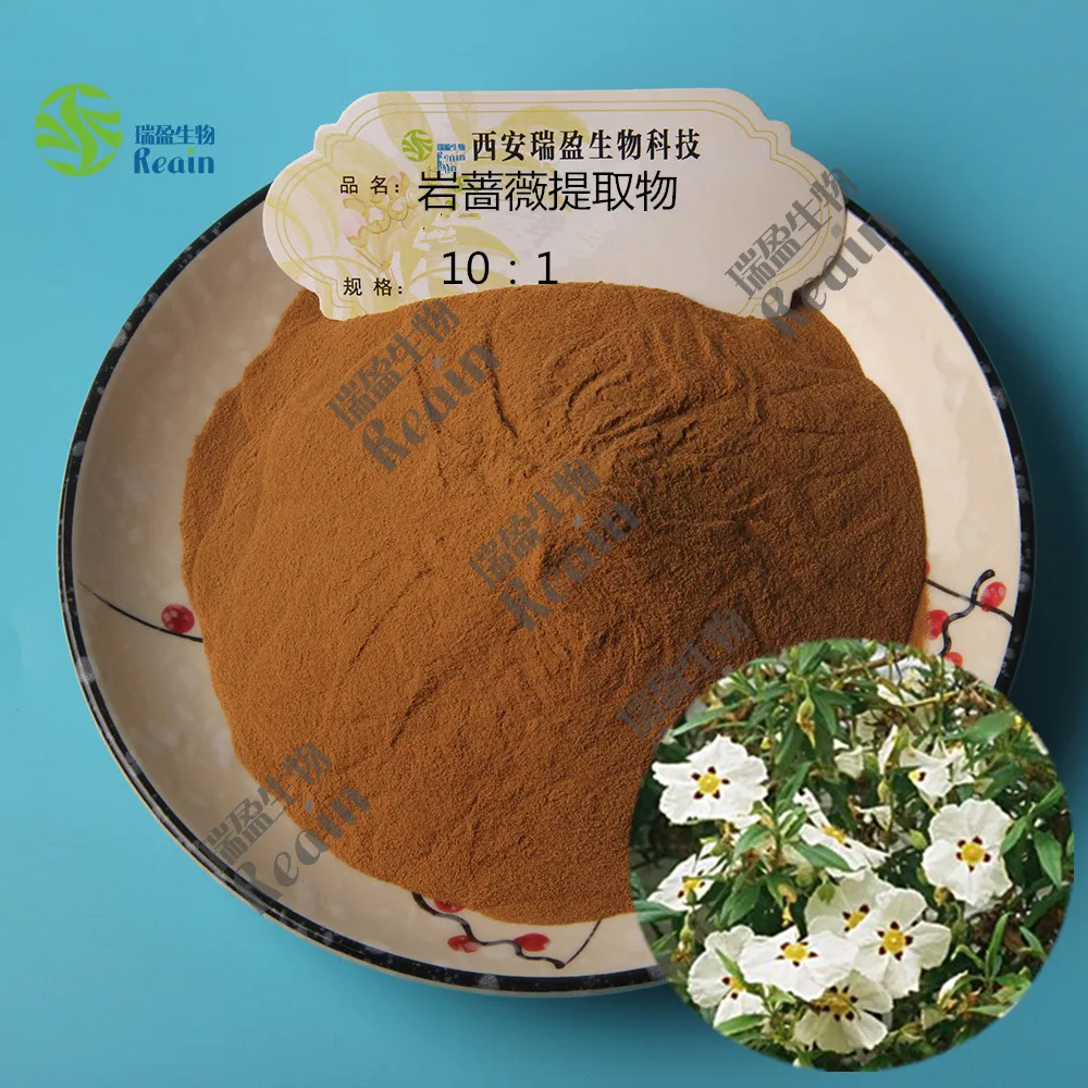 Cistus Incanus Extract Cistus Powder Cistus Creticus Extract Rock Rose ...