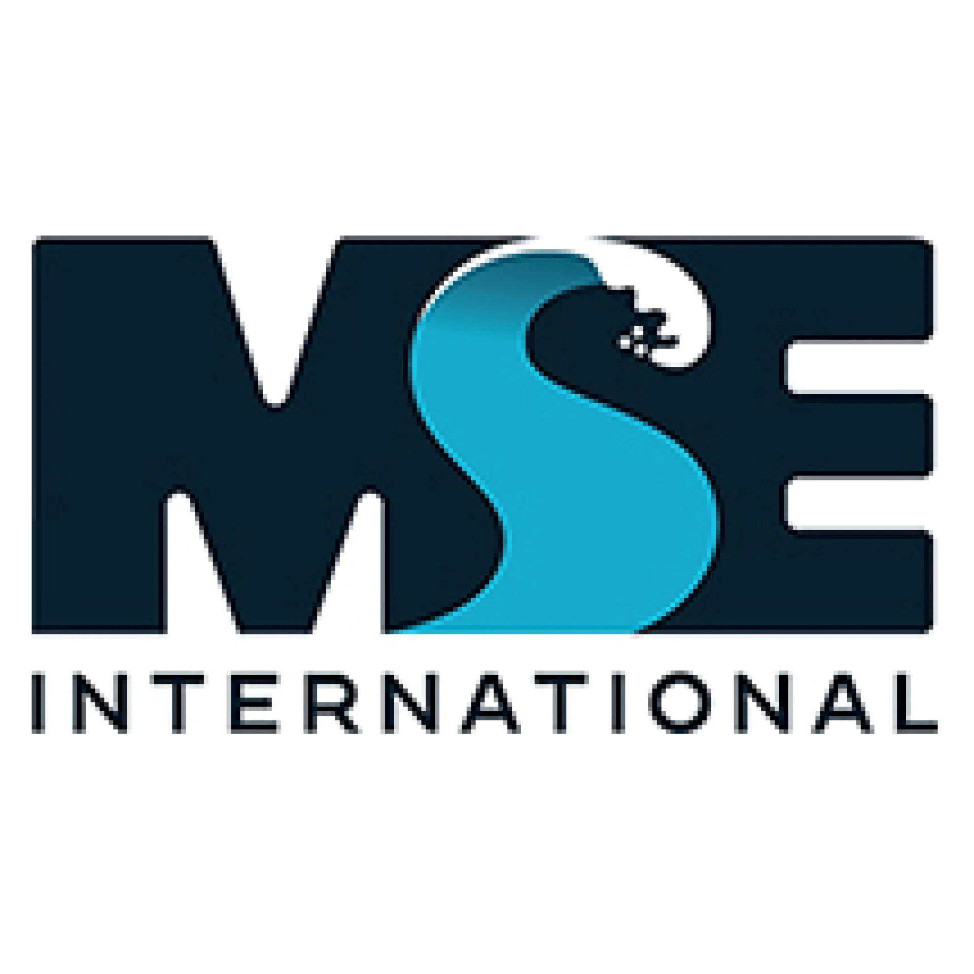 Company Overview - MSE Ultimate, Inc.