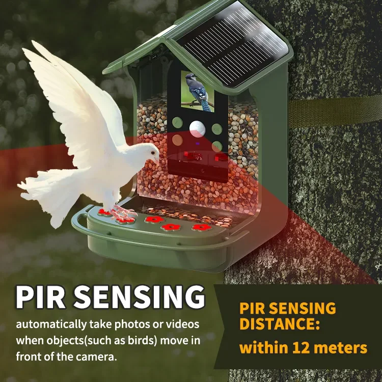 Alibaba.com: Hidden Garden Bird Feeder Solar Panel, Waterproof Outdoor ...