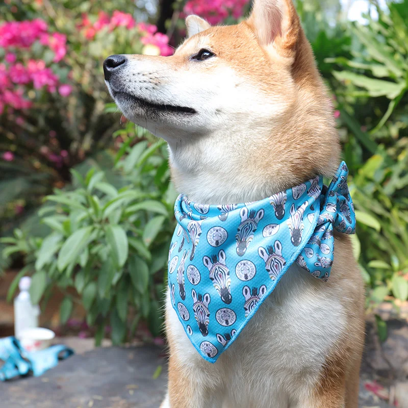 Pet Accessories Bandana Scarf Packaging Custom Pattern