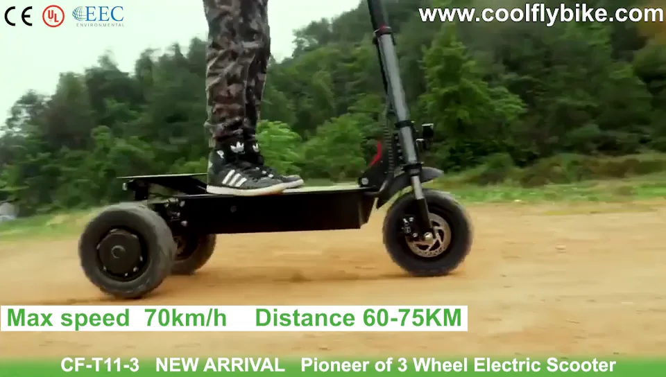 Original Design Cf-t11-3 11inch 3600w 5400w 3 Wheel Foldable Adult ...
