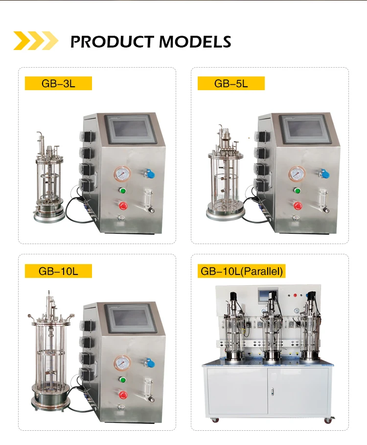 5L & 10L Fermentation Bioreactors for Microbial Culture