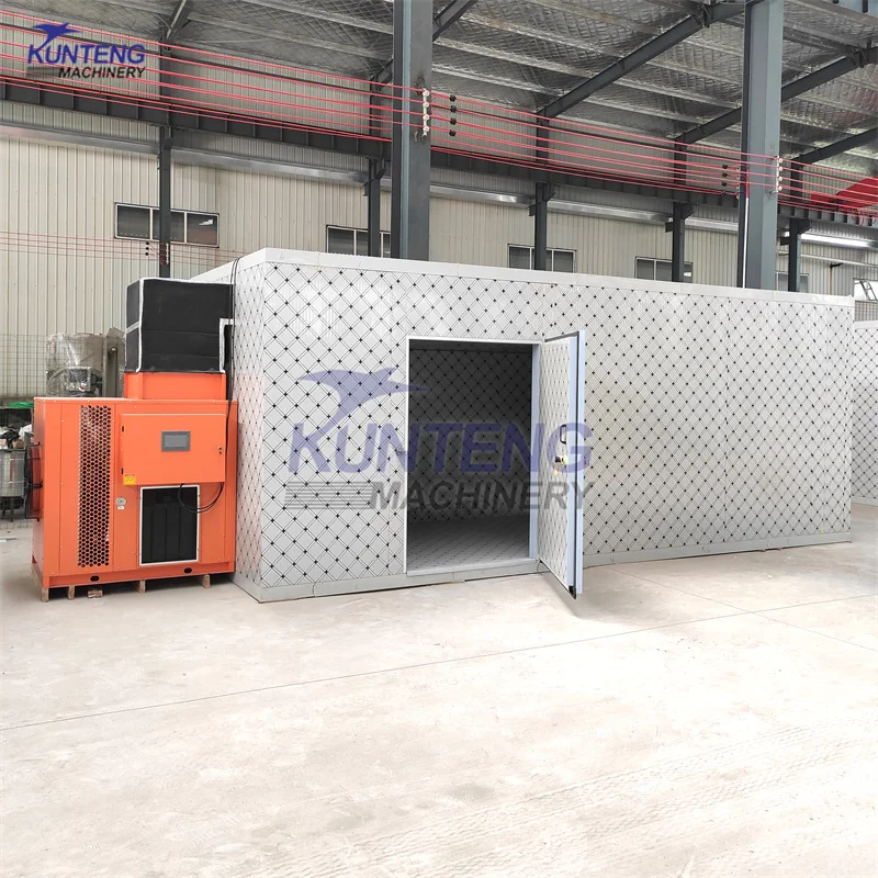 Professional Production Dried Fruit Processing Equipment Commercial ...