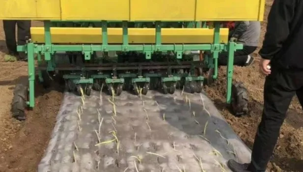 Onion Planting Machine Onion Transplanter Pepper Transplanter Vegetable ...