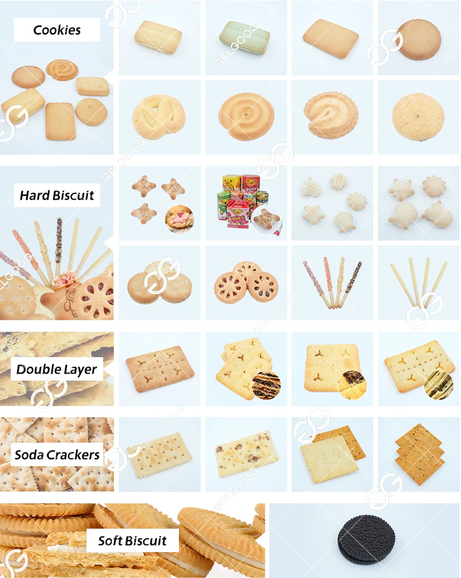 Small Scale Hard Biscuit Production Line Salty Biscuit Make Machine ...