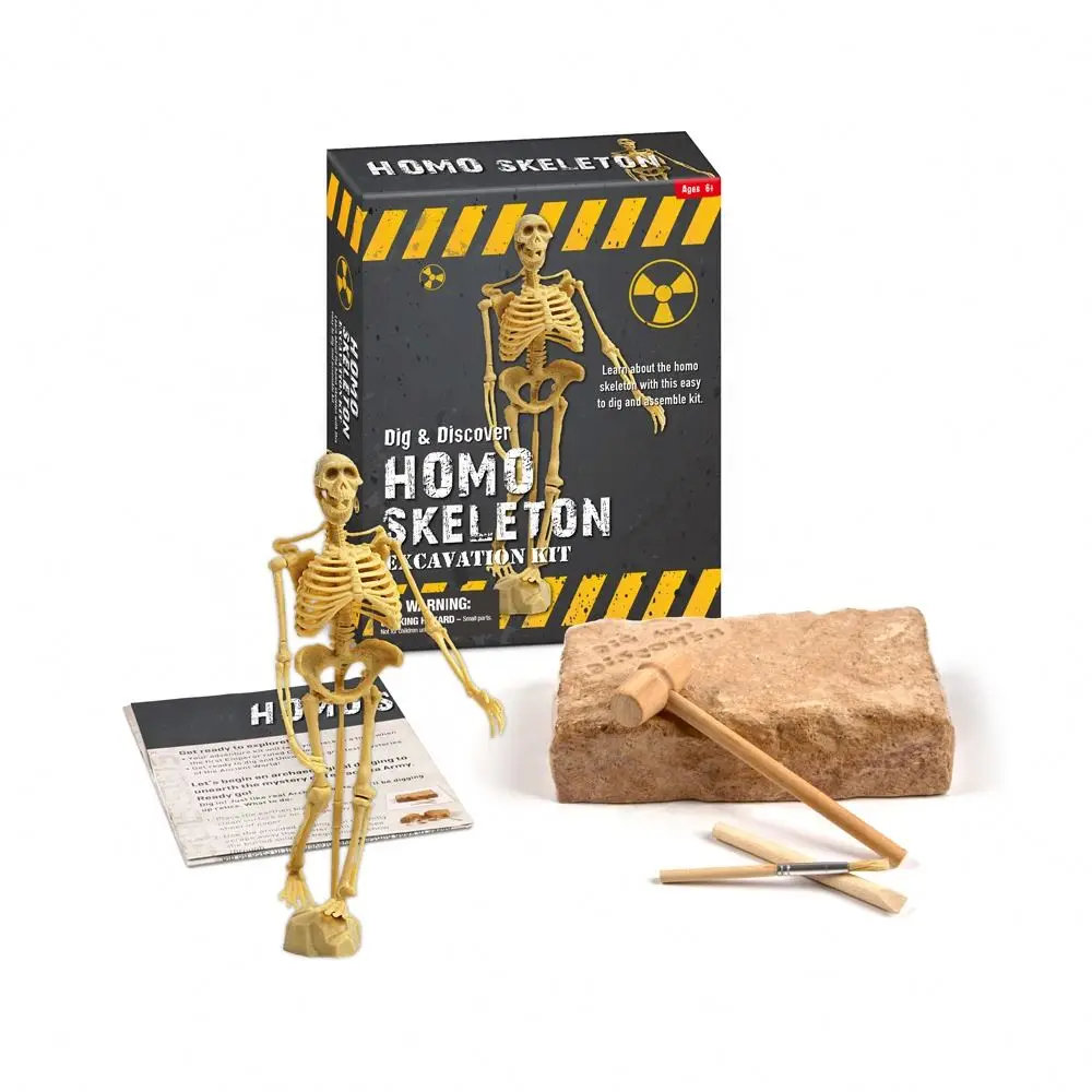 Explore The Mysterious World Educational Stem Kid Toy Dig Homo Skeleton ...