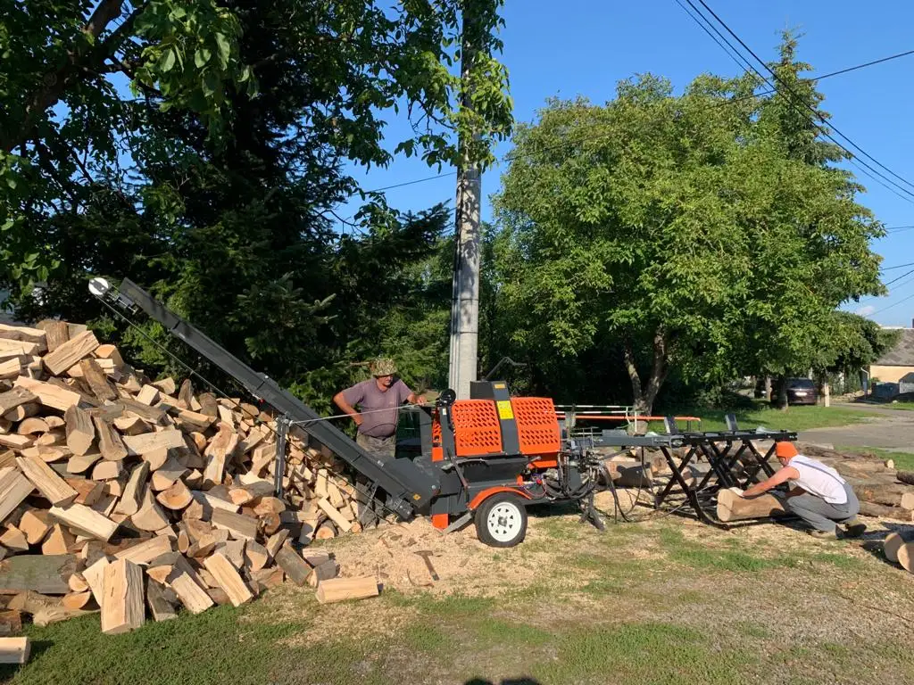 20ton Electric Wood Processor With Log Table / Wood Processor With Tuv ...