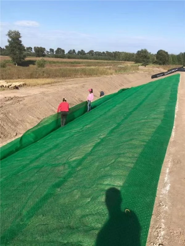 HDPE Geonet Reinforcement Plastic Meshes for Slope Protection
