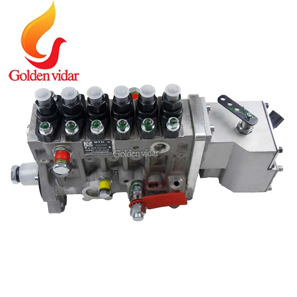 Golden Vidar Fuel Injection Pump For Construction Machine Generator Kit ...