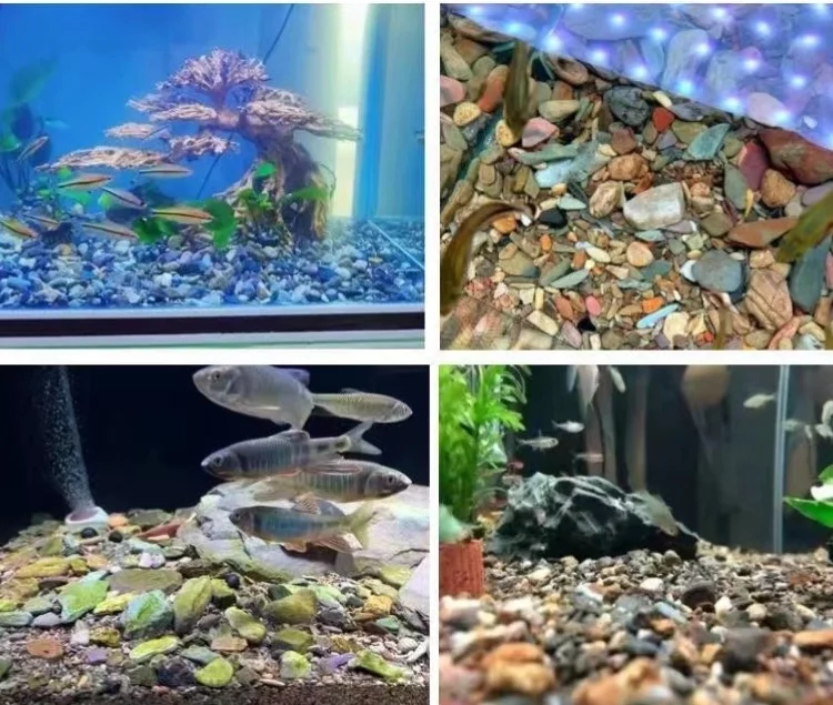 Natural Rainbow Sand,Colorful Pebble,Fish Tank,Turtle Tank Decoration ...