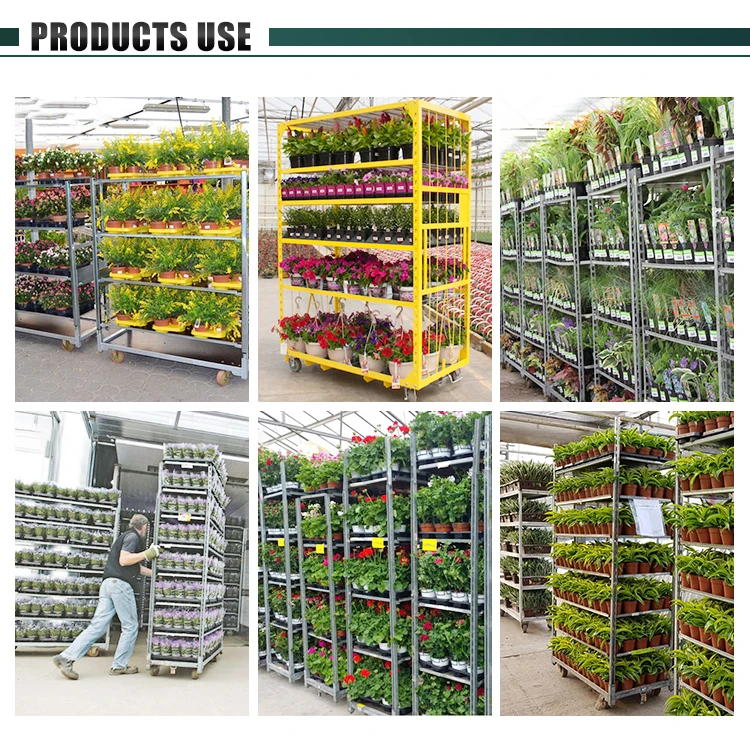 Dutch Trolley CC Roll Container Danish Cart Nursery Plant Trolley