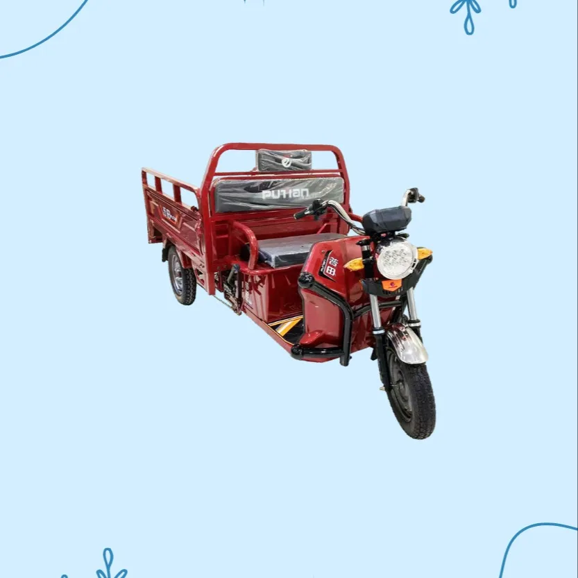 Strong Power Electric Cargo 3 Wheel Motorcycle For Adult Tricycles Bulk ...