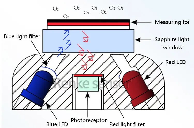Renke Digital Aquaculture Water DO Sensor - Online Optical