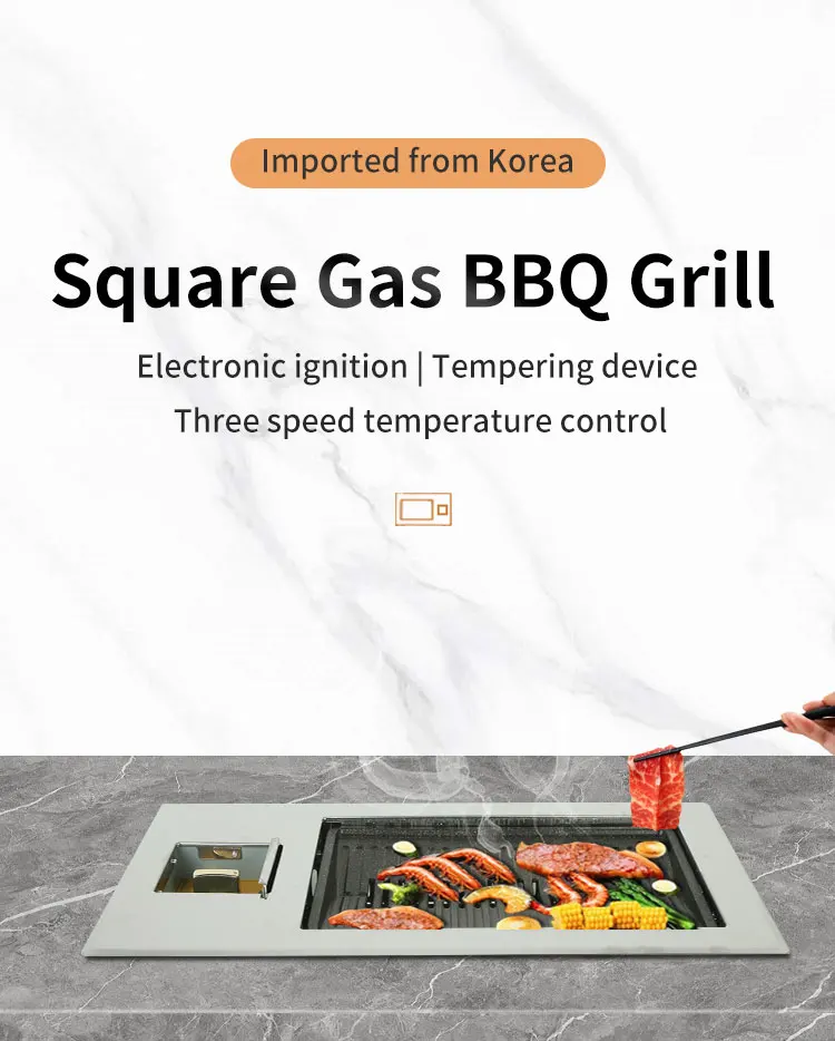 Korean Lpg Lng Upper Air Blower Gas Stove Stainless Steel Built In ...