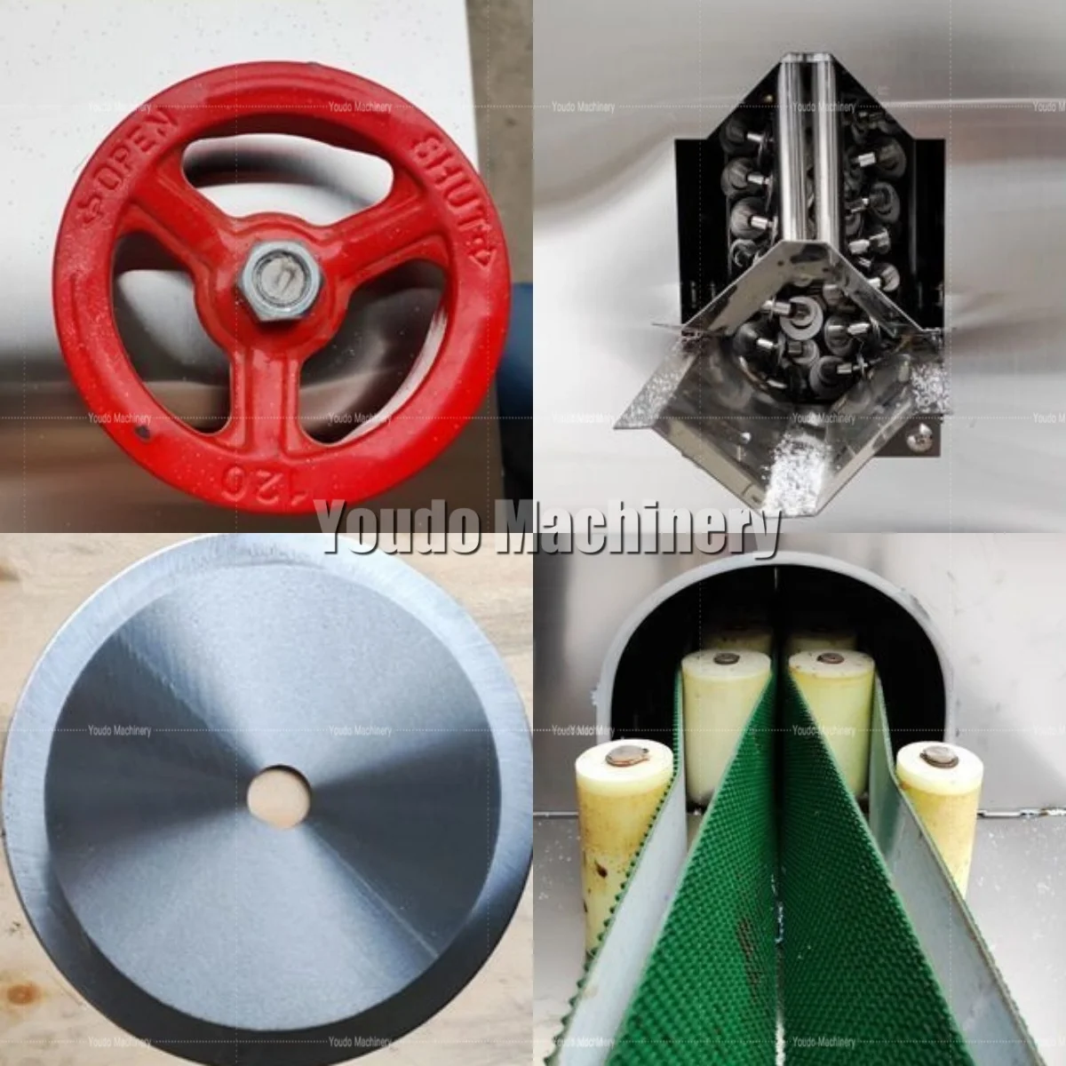 Adjustable Multi-Species Fish Processor for Mackerel Tilapia Sea Bass ...