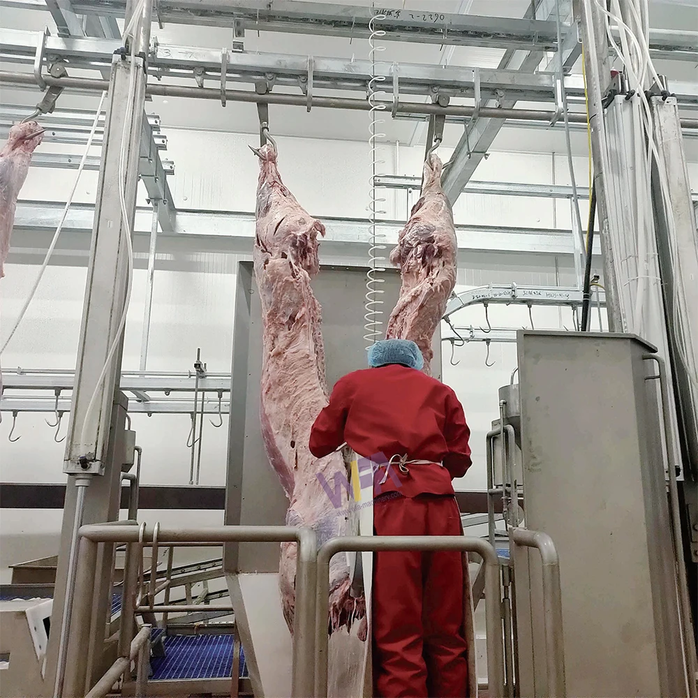 Complete Abattoir Plant Cow Slaughter House 10 Cattle Hour Halal Meat ...