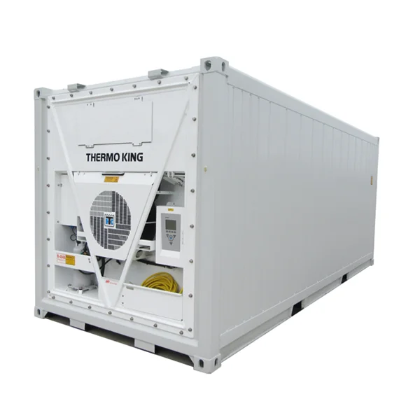 20ft Cold Storage Room Reefer Container From Stock Thermo King Cooler ...
