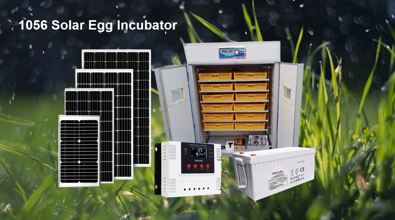 Solar Powered Chicken Egg Incubator - 1056 PCS Capacity