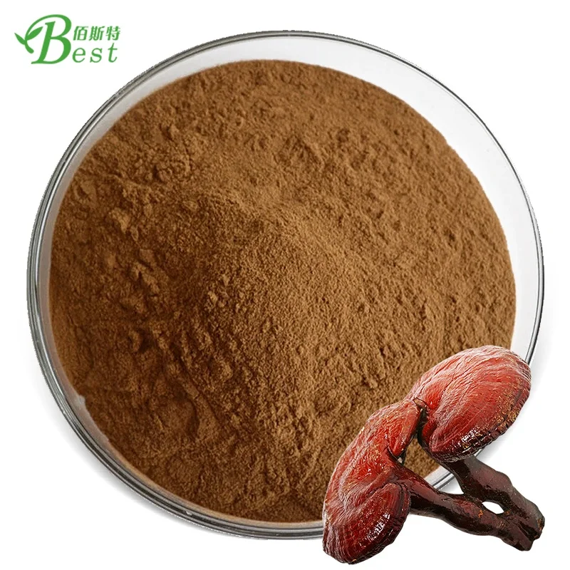 100% Pure Reishi Mushroom Extract Powder/lucid Ganoderma Extract/ 10:1 ...