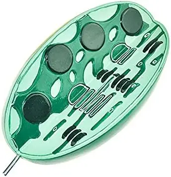 Chloroplast Structure Model Microstructure Biology Teaching Model ...