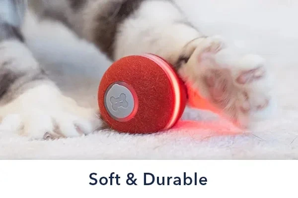 Cheerble Ball M1 - Smart & Interactive Pet Toy for Cats